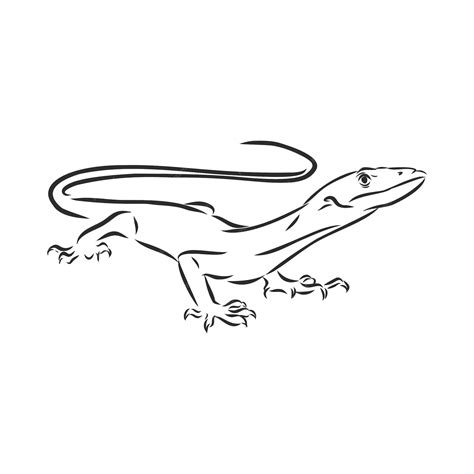 Premium Vector Lizard Reptile Line Art Hand Drawn Vector Tattoo