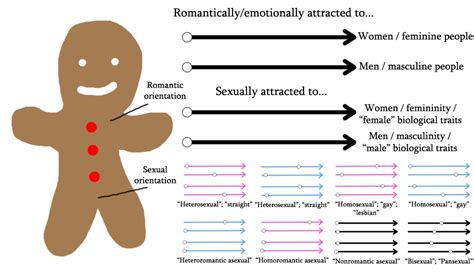 Interactive Genderbread Person