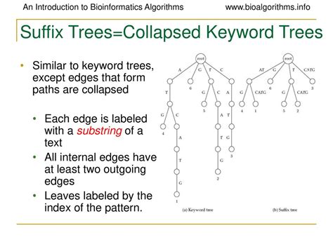 Combinatorial Pattern Matching Ppt Download