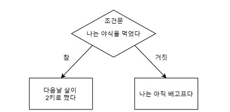 조건문1 C언어 기초