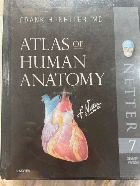 Netters Atlas Of Human Anatomy Hobbies And Toys Books And Magazines
