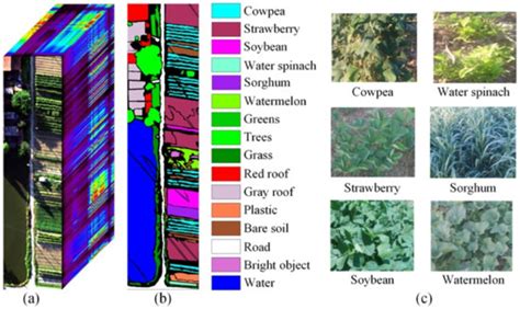 Multiscale Superpixel Based Fine Classification Of Crops In The Uav