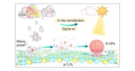 Small Molecule Probe Induced In Situ Sensitized Photoelectrochemical