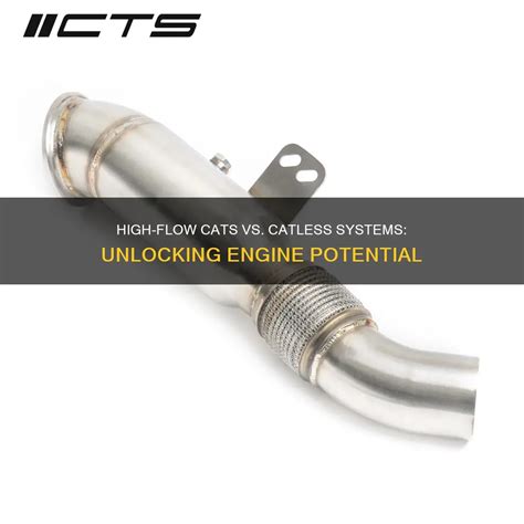 High Flow Cats Vs Catless Systems Unlocking Engine Potential PetShun