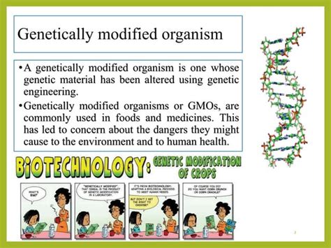 Gmo Genetically Modified Organisms Agricultural And Horticultural