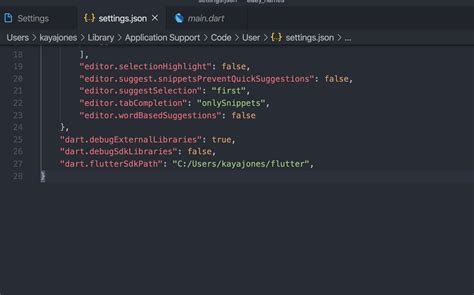 Trying To Run My Flutter Application In Vscode Then Get This Error