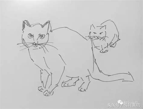 梅軒畫舫手繪日記小貓與少年8月21日 每日頭條