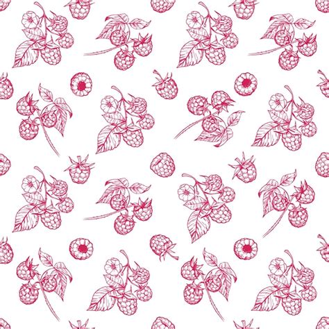 Raspberry Seamless Pattern Vectors And Illustrations For Free Download