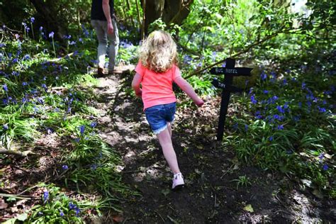 Best Devon Cliffs Activities Mommy Travels