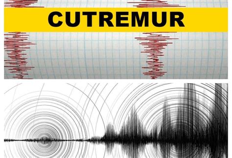 Cutremur cu magnitudinea 3 pe Richter cu epicentrul în Vrancea