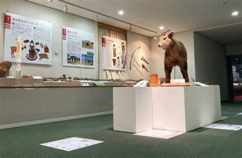 須坂市立博物館 長野県博物館協議会公式サイト 信州 Museum Guide
