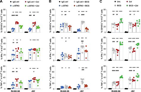 Vδ2 T Cell Function Against Bca Cell Lines On Combinatorial Treatments