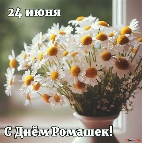 День ромашек 24 июня картинки