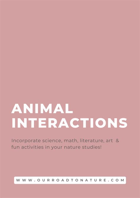 Forest Biome Explained In Less Than 200 Characters Ourroadtonature
