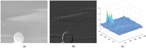 remote sensing free full text total variation weighted low rank constraint for infrared dim