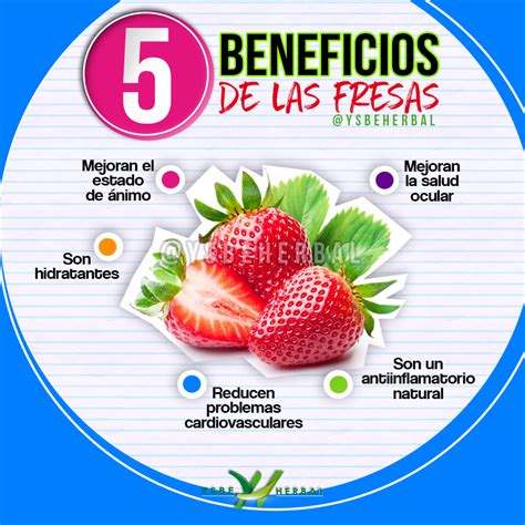 8 Beneficios De Comer Fresas Propiedades De La Frutilla Fresas Nbkomputer