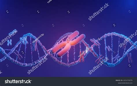 Dna Spiral Structure Dna Helix Complementary Stock Illustration 2231774775 Shutterstock