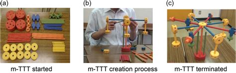 Modified Tinkertoy Test M‐ttt Procedure Download Scientific Diagram