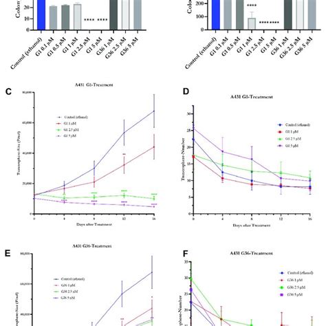 Effects Of GPER1 Agonist G1 And Antagonist G36 On Colony Formation And Download Scientific