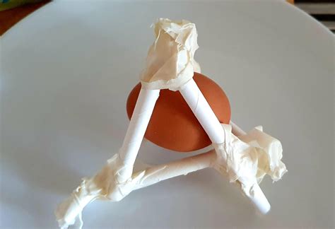 Egg Drop 7 Steps With Pictures Instructables