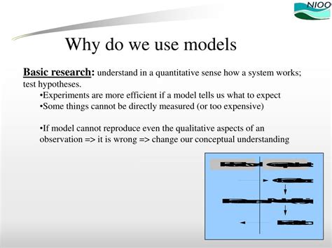 Ppt Ecological Modelling Powerpoint Presentation Free Download Id