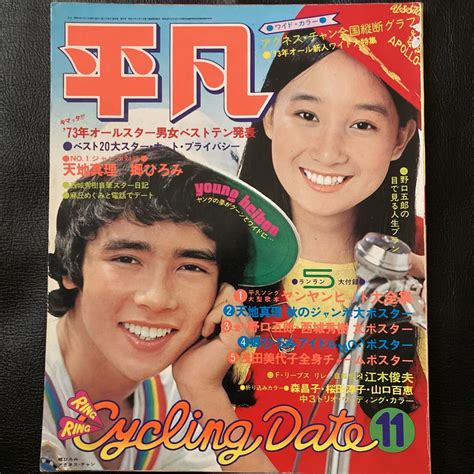 平凡1973年11月号西城秀樹 麻丘めぐみ 南沙織 浅田美代子 天地真理 野口五郎 郷ひろみ アグネス・チャン 沢田研二 アンルイス 和田