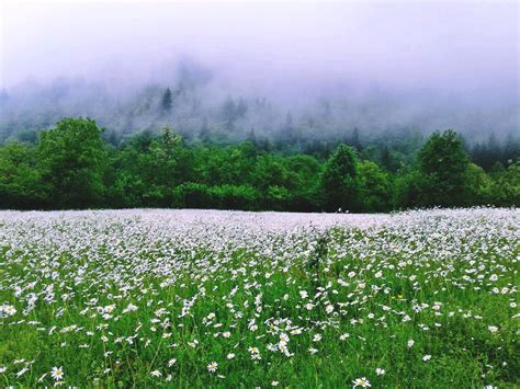 ცნობილი და უცნობი სურათები სოხუმის ბოლო წუთები როგორ იბრძოდნენ ქართველები მის დასაცავად