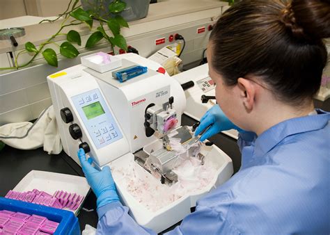 Medical Pathology Lab
