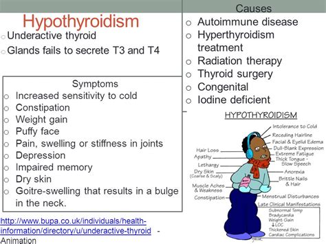 Cold Intolerance And Hypothyroidism Understanding The Link Between