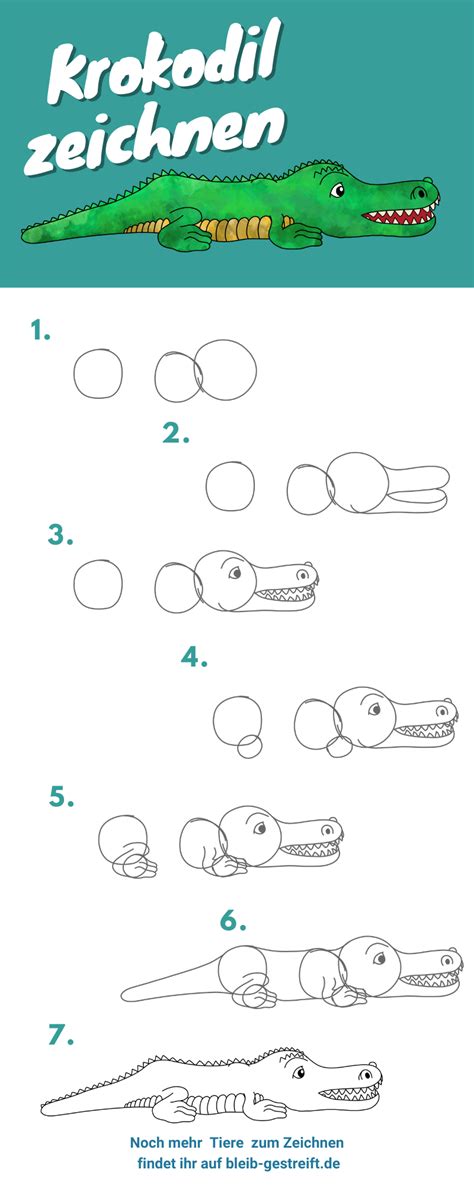 Krokodil Zeichnen Eine Anleitung In 7 Schritten