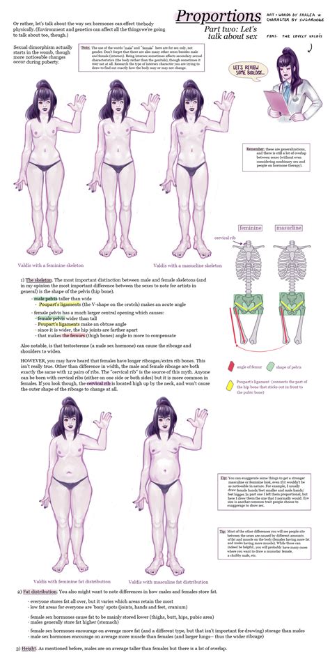 Proportions Part 2 Sex By Fralea On Deviantart