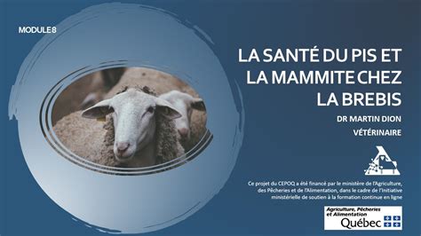 Formation en santé ovine La santé du pis et la mammite chez la brebis