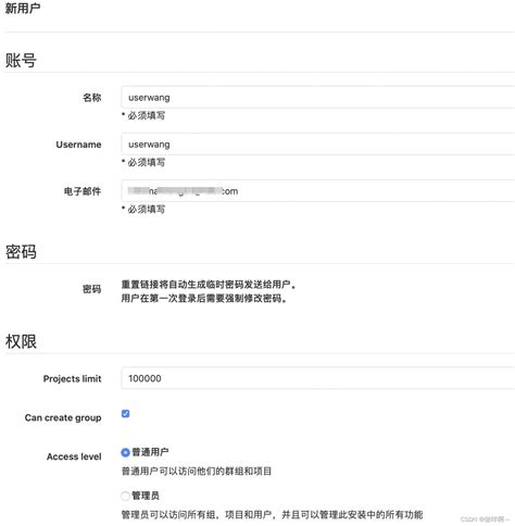 9gitlab用户、组、权限 Csdn博客