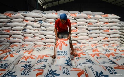 4 Fakta Mengerikan El Nino Hingga Presiden Jokowi Buka Keran Impor 1