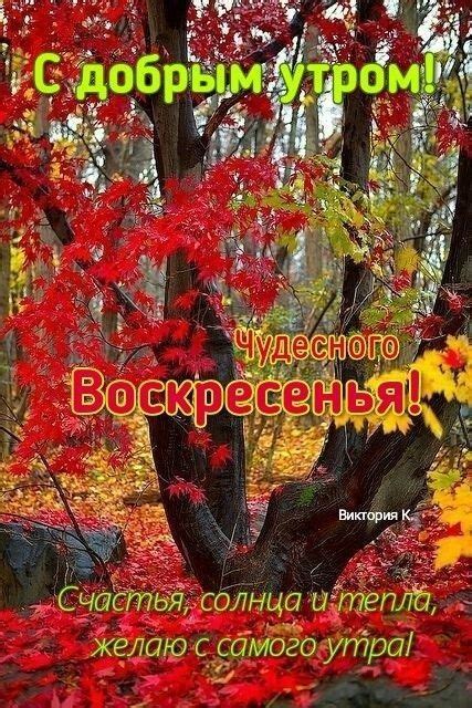 С добрым утром Чудесного Воскресенья