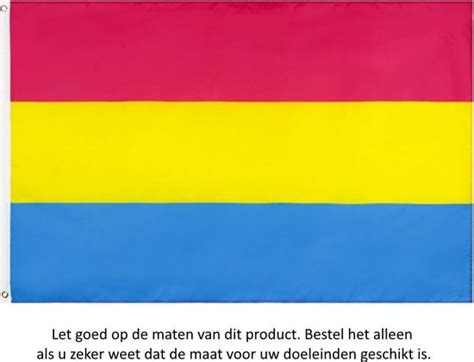 Regenboogvlag 150x90cm Lgbt Omniseksueel Panseksueel Pride