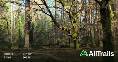 Creswick Heritage Walk Victoria Australia 39 Reviews Map Alltrails