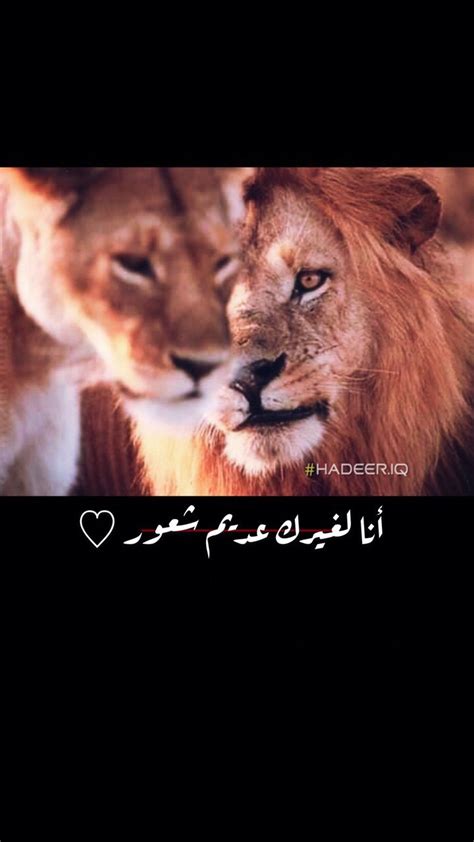 اسدلبوهحبlion