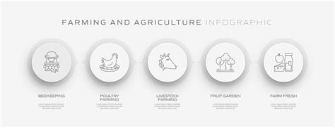 농업 및 농업 관련 프로세스 인포그래픽 템플릿 프로세스 타임라인 차트 아이콘이 있는 워크플로 레이아웃 가금류에 대한 스톡 벡터