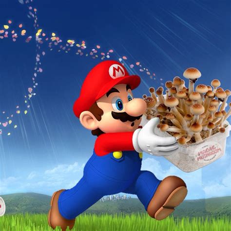 Magic Mushrooms Mario