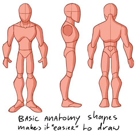 Пин на доске 2d Stylized Construction And Anatomy