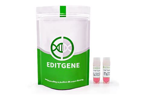 Mef Editgene Editgene