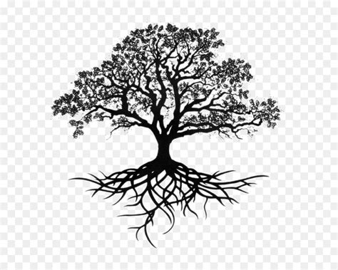 Bodhi Tree Sketch At Explore Collection Of Bodhi
