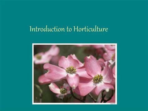 ️introduction To Horticulture Worksheet Free Download