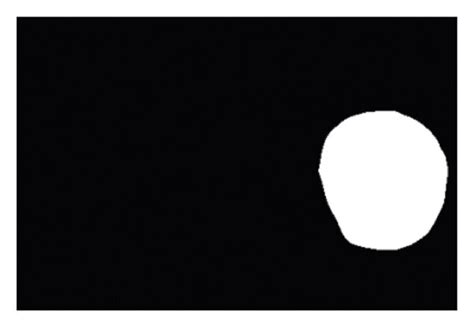 The Segmentation Results Of The Phase Fusion Pspnet And Double Download Scientific Diagram