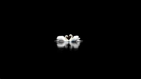 Cute Black Wallpapers Wallpapersafari