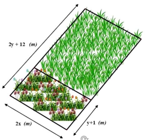 Bác Nam Có Một Mảnh Vườn Hình Chữ Nhật Bác Chia Mảnh Vườn Này Ra Làm Hai Khu đất Hình Chữ Nhật