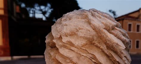 How To Use Poly To Generate High Quality Textures For Blender With AI BlenderNation