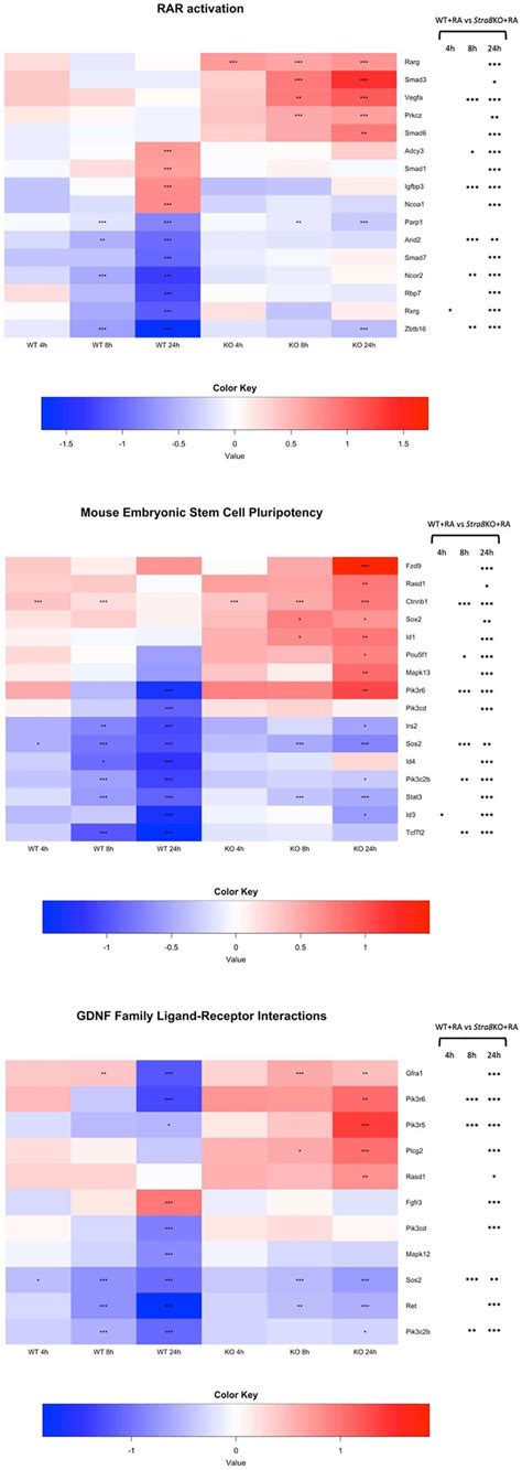 Mrna Expression Heat Maps Of Degs Associated With The Indicated