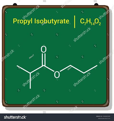 Chemical Structure Propyl Isobutyrate C7h14o2 Stock Vector Royalty